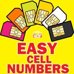 UniQue Easy 083 Cell Number- 083 33 66 22 1 - No Shipping Cost ...