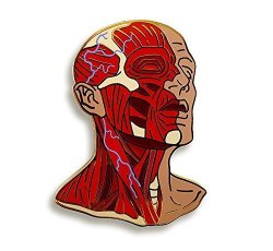 Pinsanity Head Anatomy Enamel Lapel Pin Prices | Shop Deals Online ...